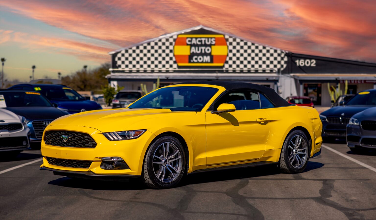 Winners - Tucson Beefsteak presented by Volpe Team at NOVA Home Loans